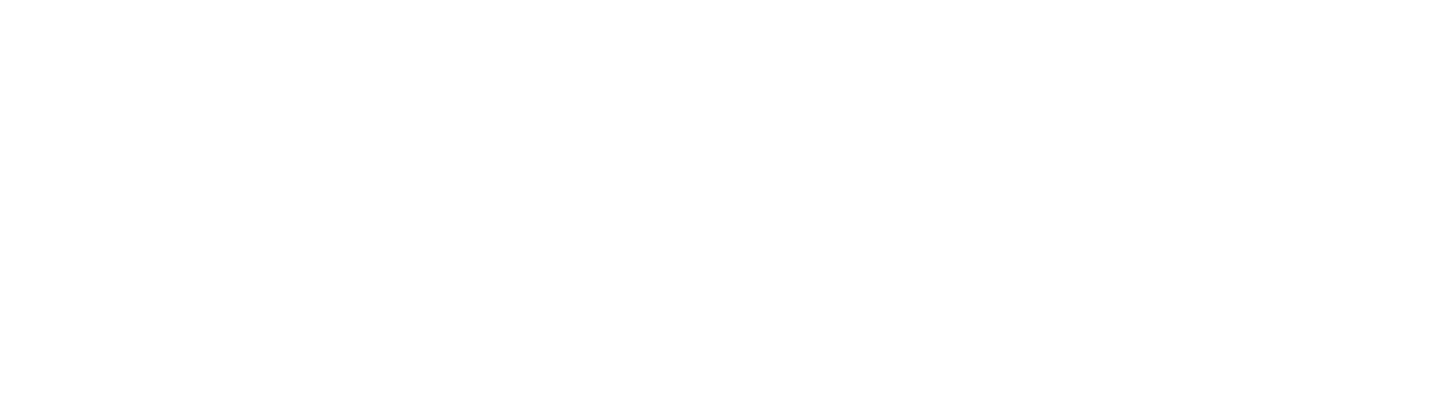 Zima Investments - Gestión patrimonial y mercado de capitales